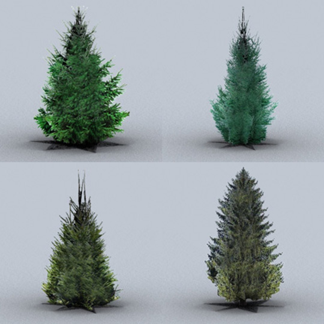 Norway Spruce Trees 3ds