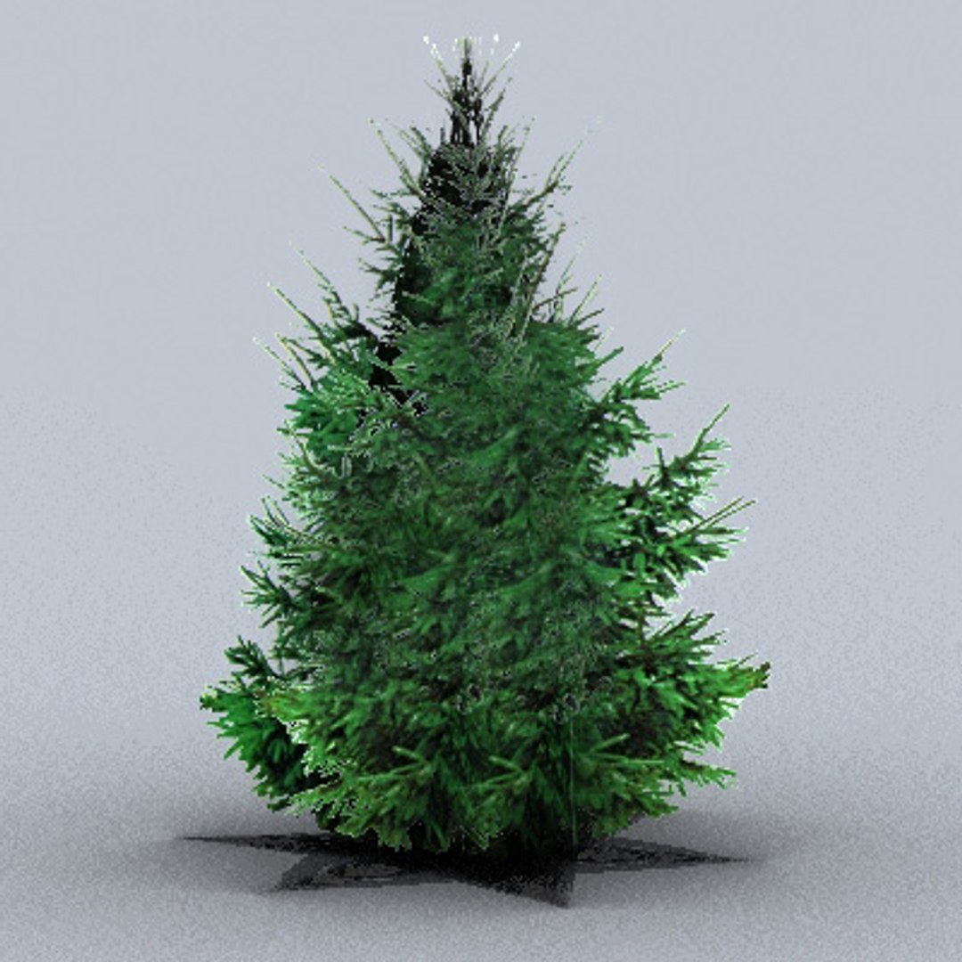 Norway Spruce Trees 3ds