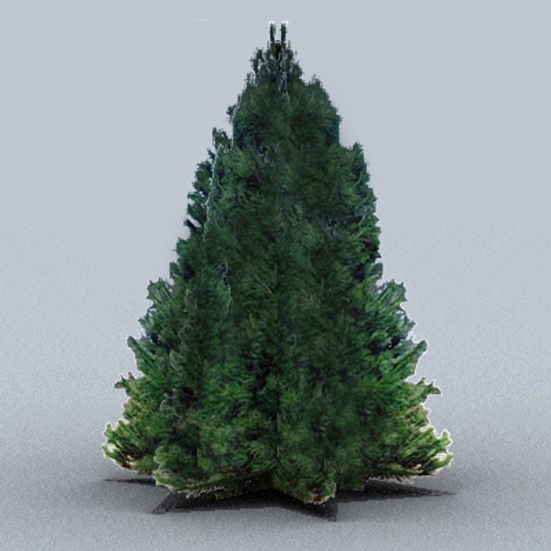 Norway Spruce Trees 3ds