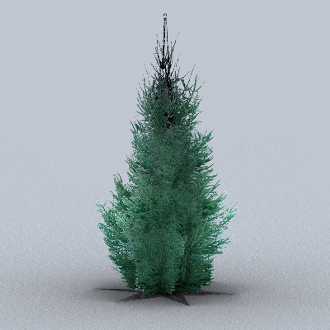 Norway Spruce Trees 3ds