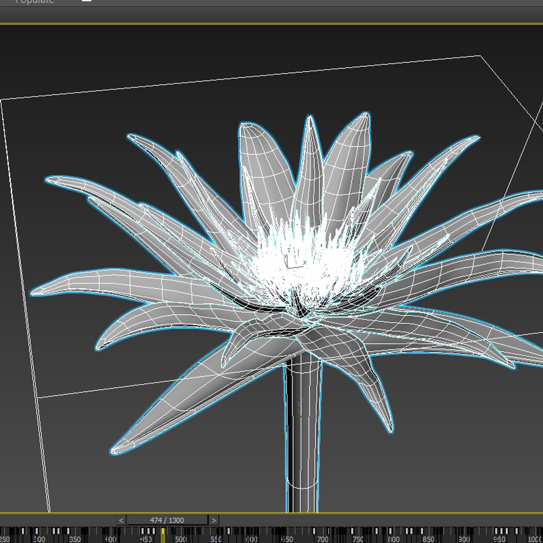 Water Lily Flower Animation Max