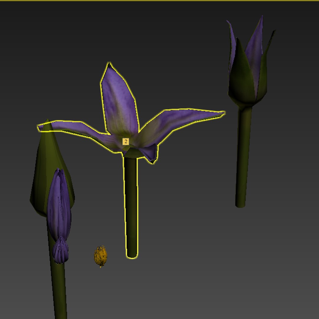 Water Lily Flower Animation Max