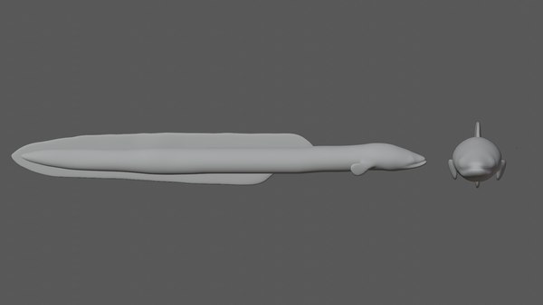 Electric eel model - TurboSquid 1773851