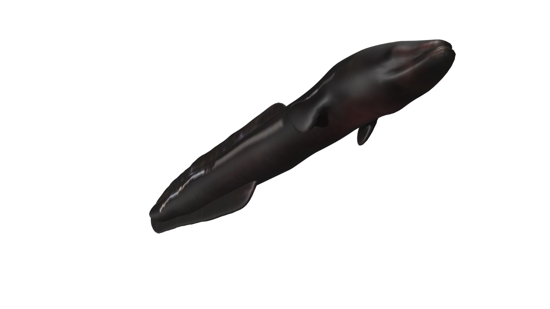Electric Eel Model - TurboSquid 1773851