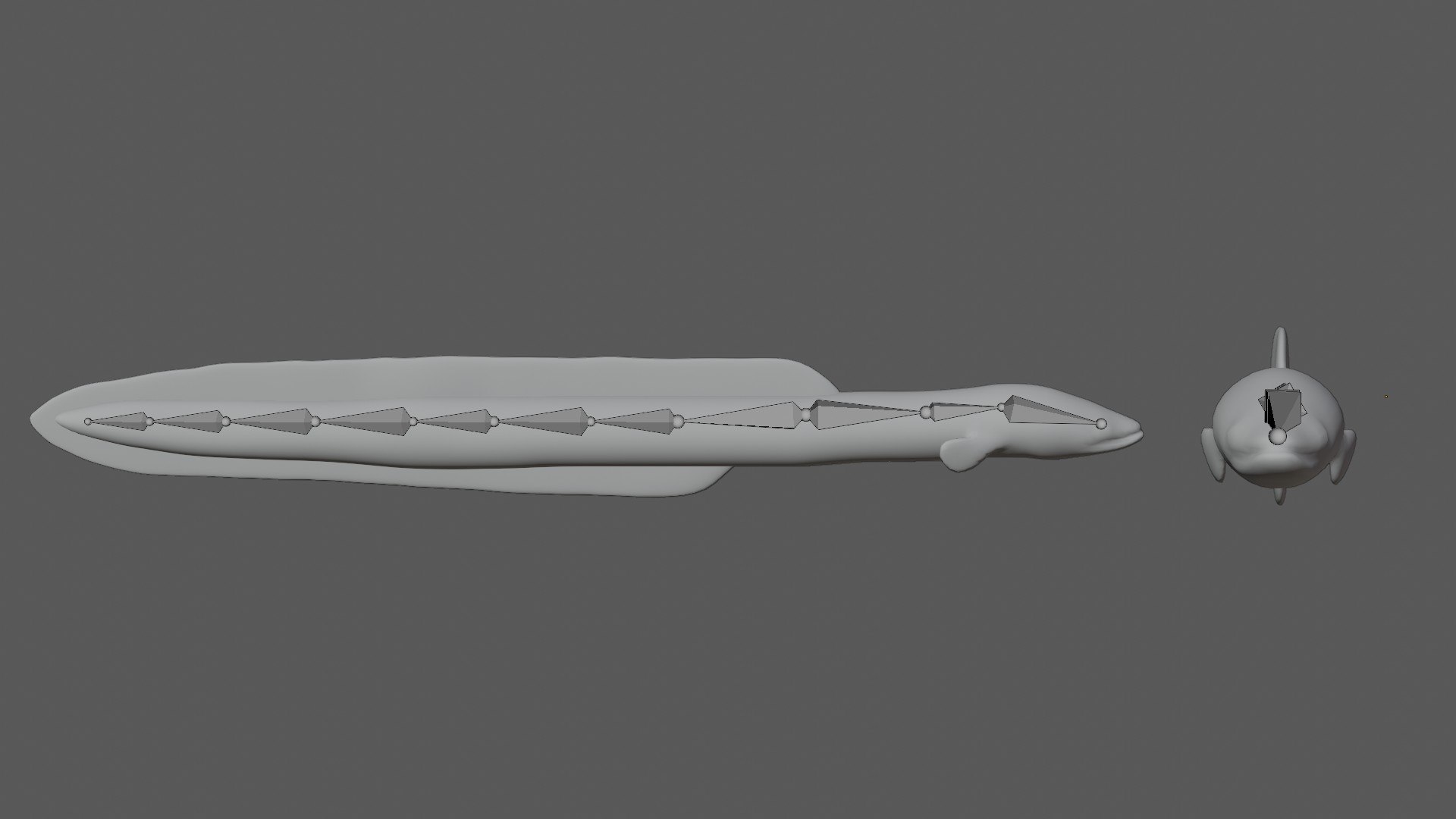 Electric Eel Model - TurboSquid 1773851