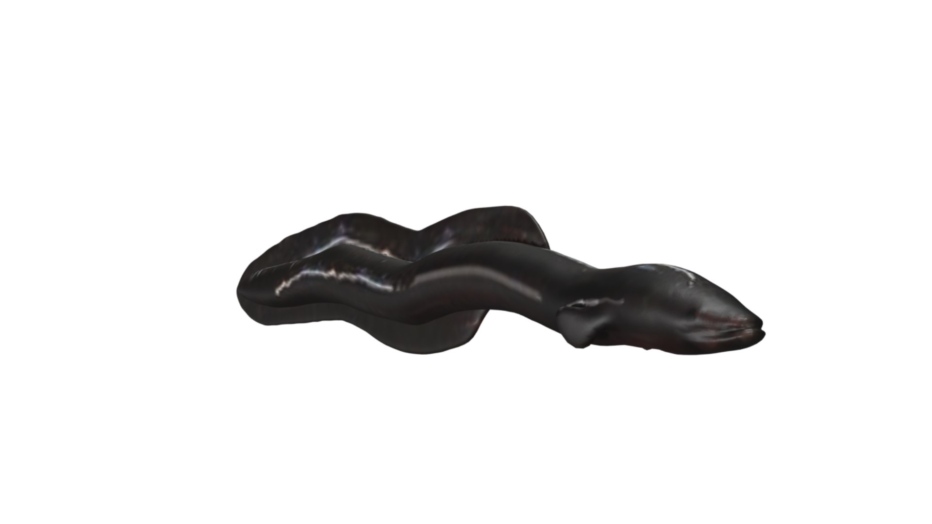 Electric Eel Model - TurboSquid 1773851