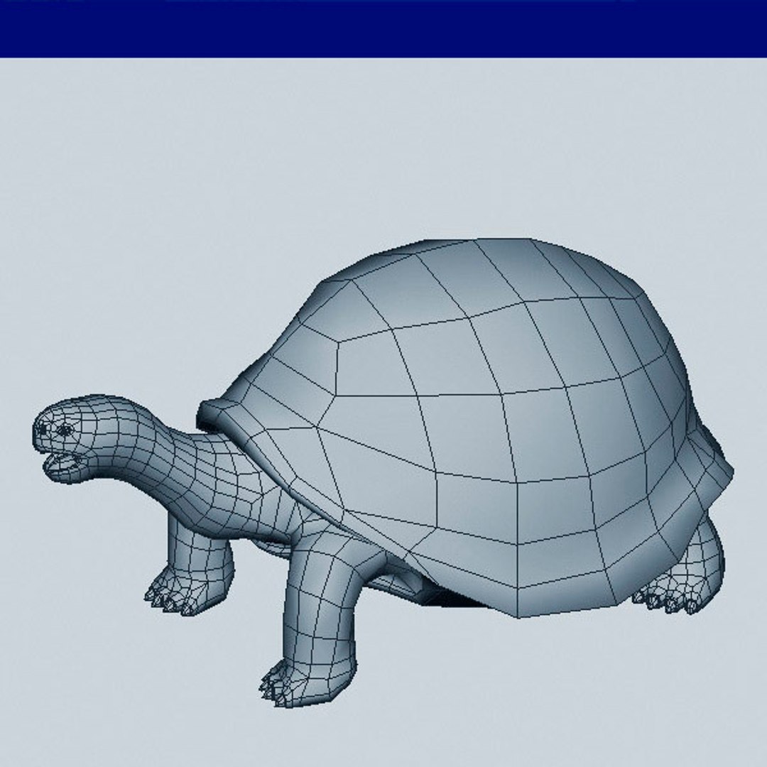 Turtle Reptile Shell 3D - TurboSquid 1246263