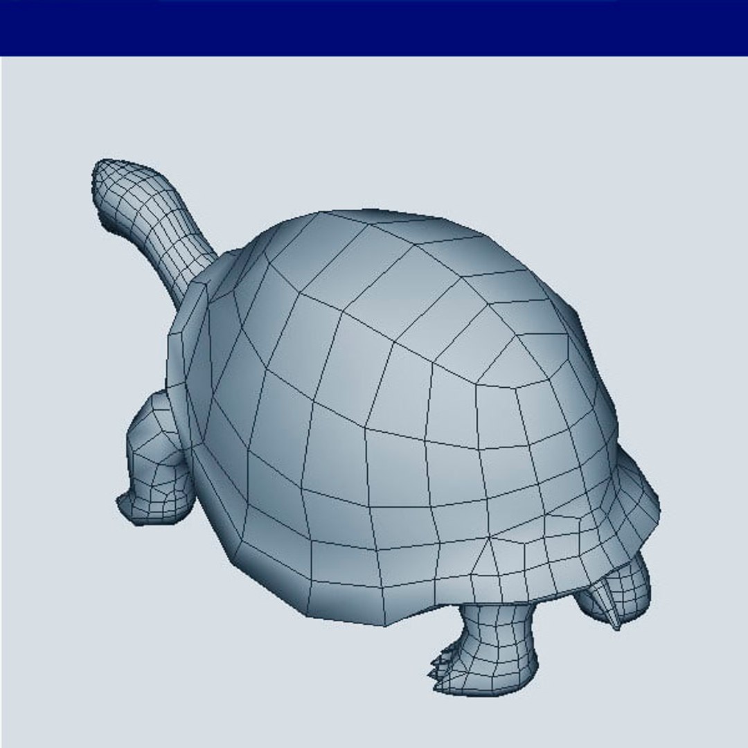 Turtle Reptile Shell 3D - TurboSquid 1246263