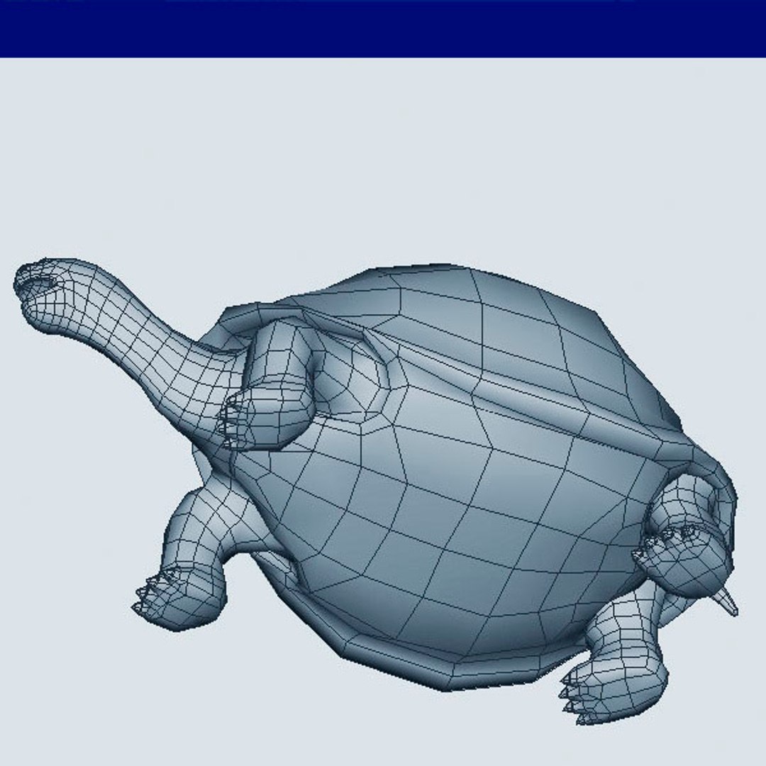 Turtle Reptile Shell 3D - TurboSquid 1246263
