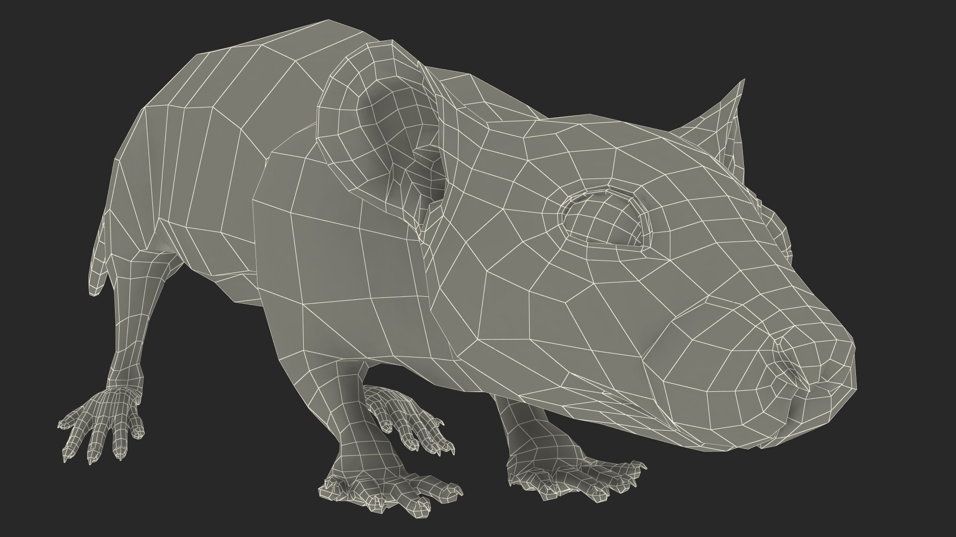 3D Running White Rat Fur Animated Rigged - TurboSquid 2447908