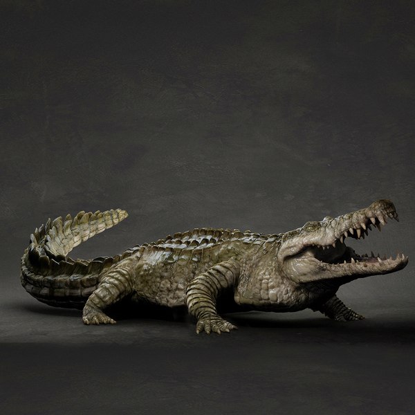 Reptile 3D Models for Download | TurboSquid