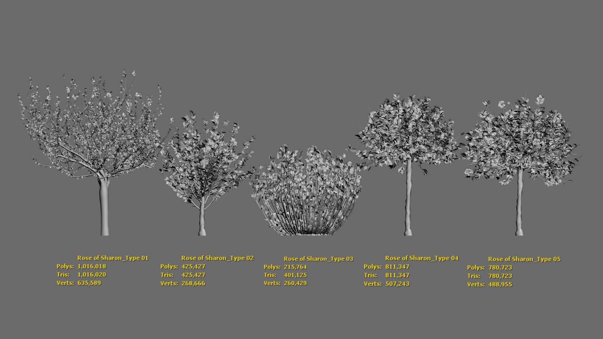 3D 5 Realistic Rose Of Sharon Korean Hibiscus Plant - TurboSquid 2317487