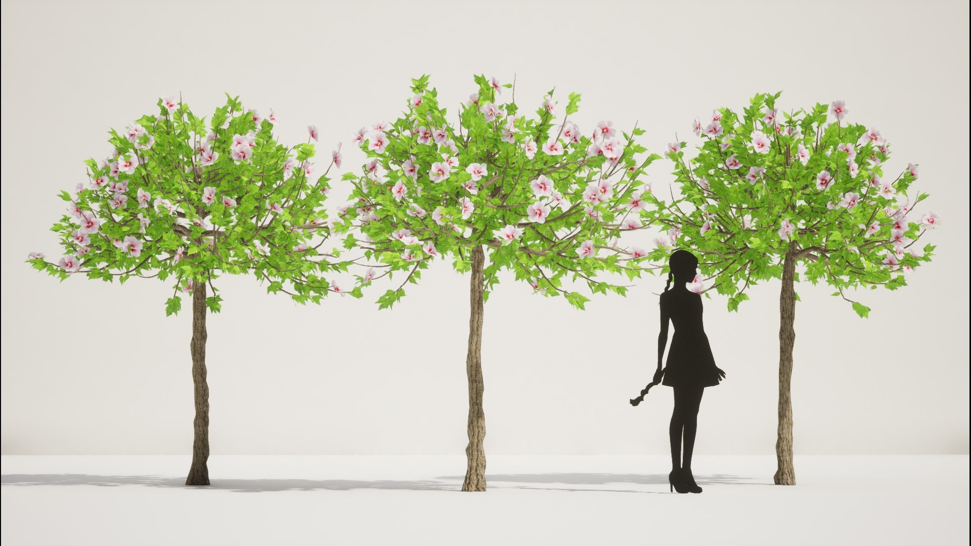 3D 5 Realistic Rose Of Sharon Korean Hibiscus Plant - TurboSquid 2317487