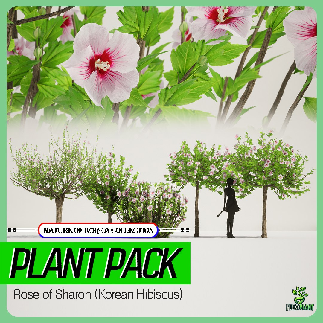 3D 5 Realistic Rose Of Sharon Korean Hibiscus Plant - TurboSquid 2317487
