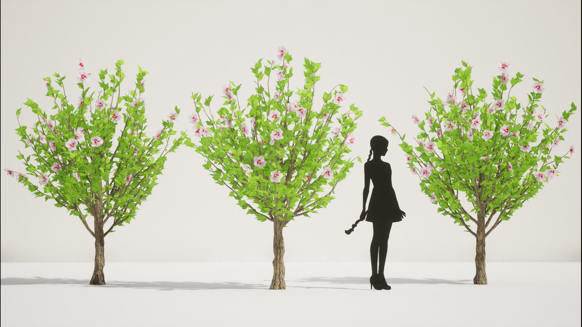 3D 5 Realistic Rose Of Sharon Korean Hibiscus Plant - TurboSquid 2317487