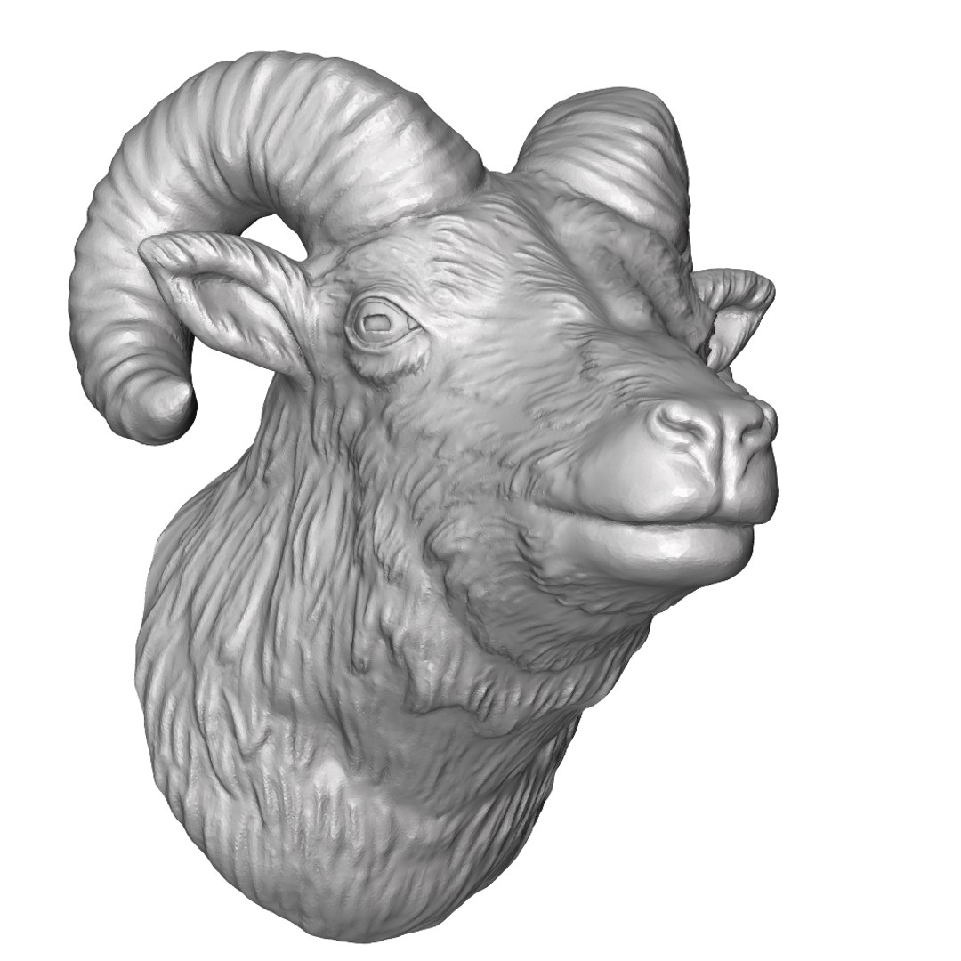 3D Ram Head - TurboSquid 1153835
