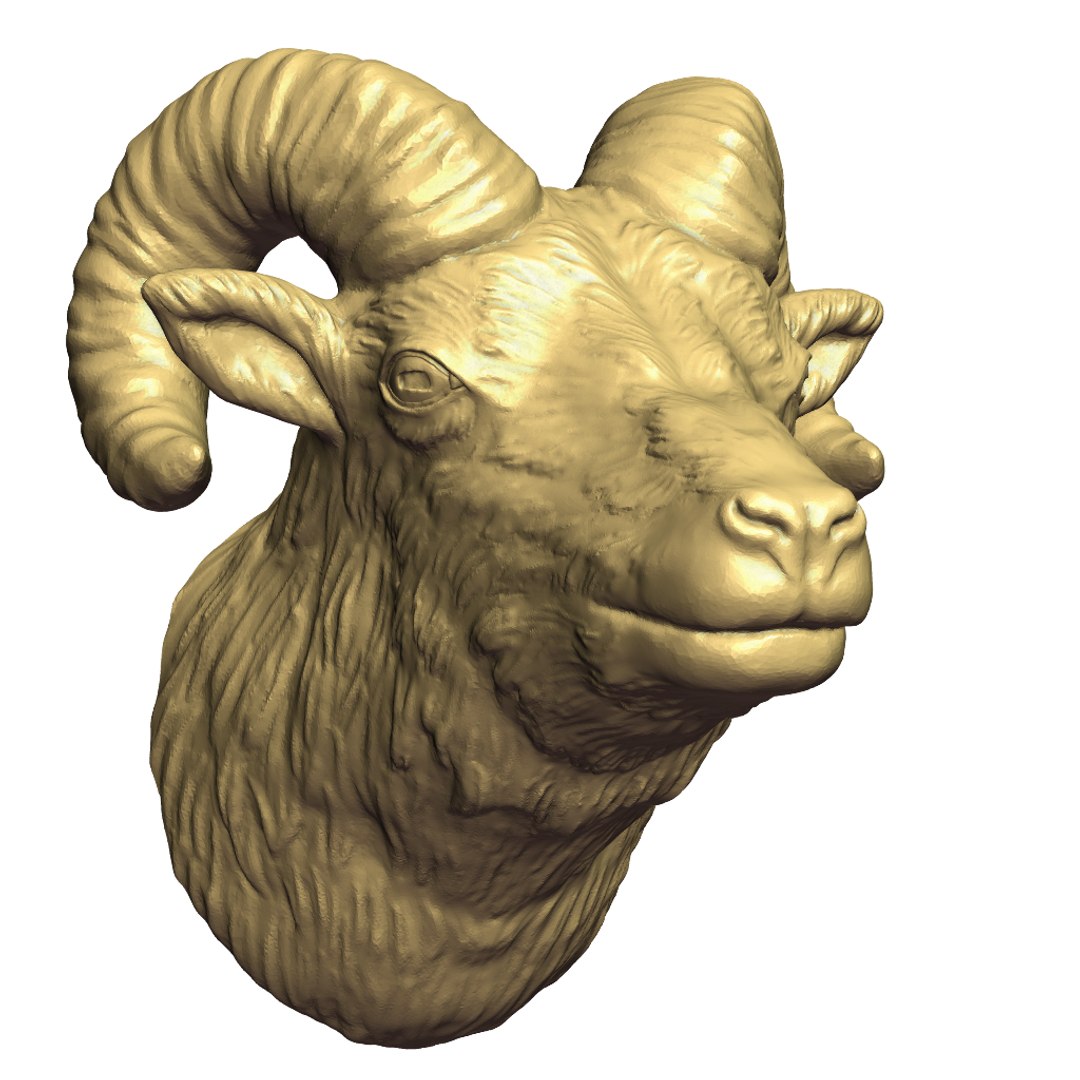 3D Ram Head - TurboSquid 1153835