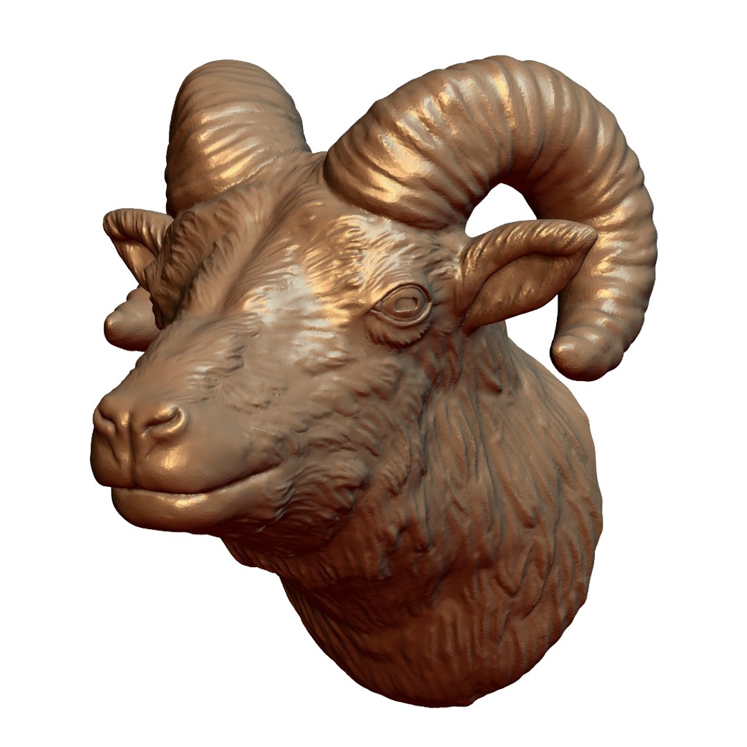 3D Ram Head - TurboSquid 1153835