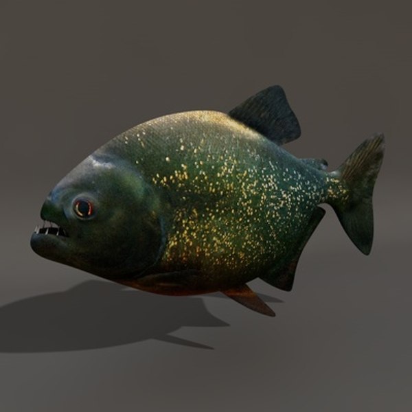 modelo 3d Piraña - TurboSquid 547806