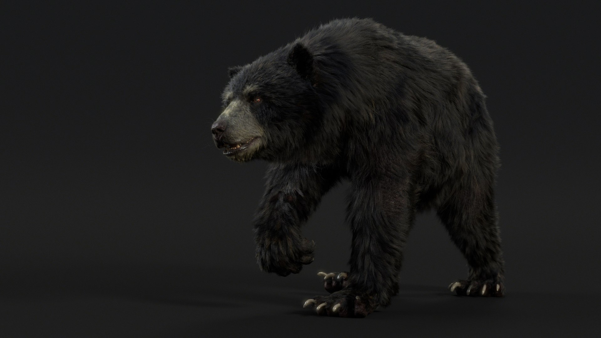 3D American Black Bear Animated Houdini - TurboSquid 2143973