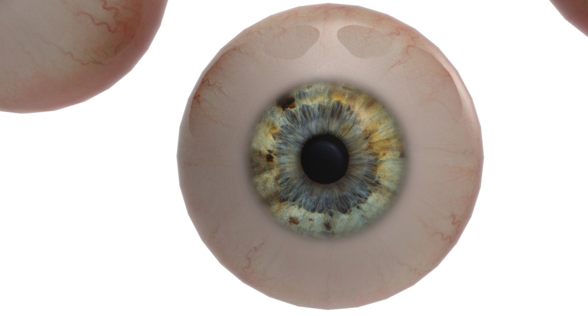Eye Ball 3D Model - TurboSquid 1579829
