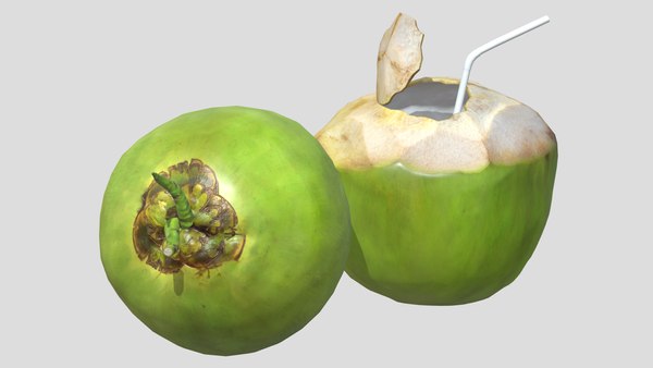 modelo 3d Coco 02 Low Poly - TurboSquid 2272651