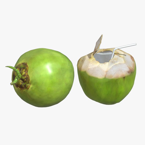 modelo 3d Coco 02 Low Poly - TurboSquid 2272651