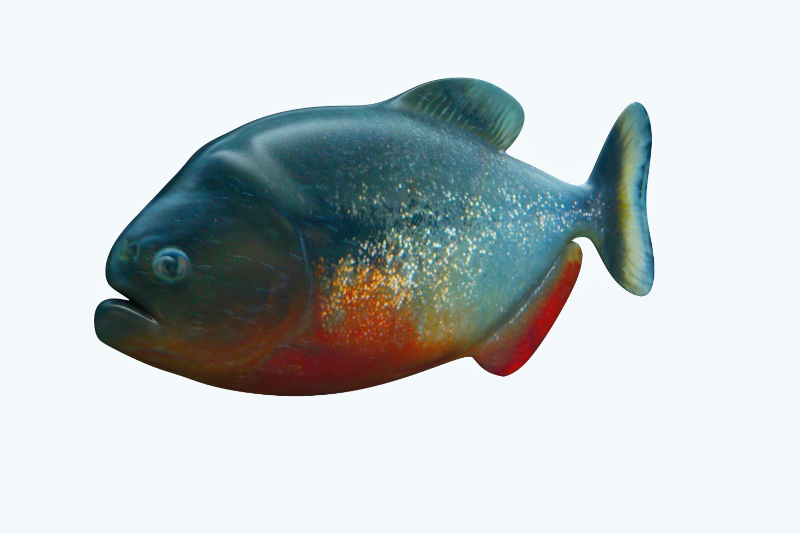 3D Model Piranha Fish - TurboSquid 1200856