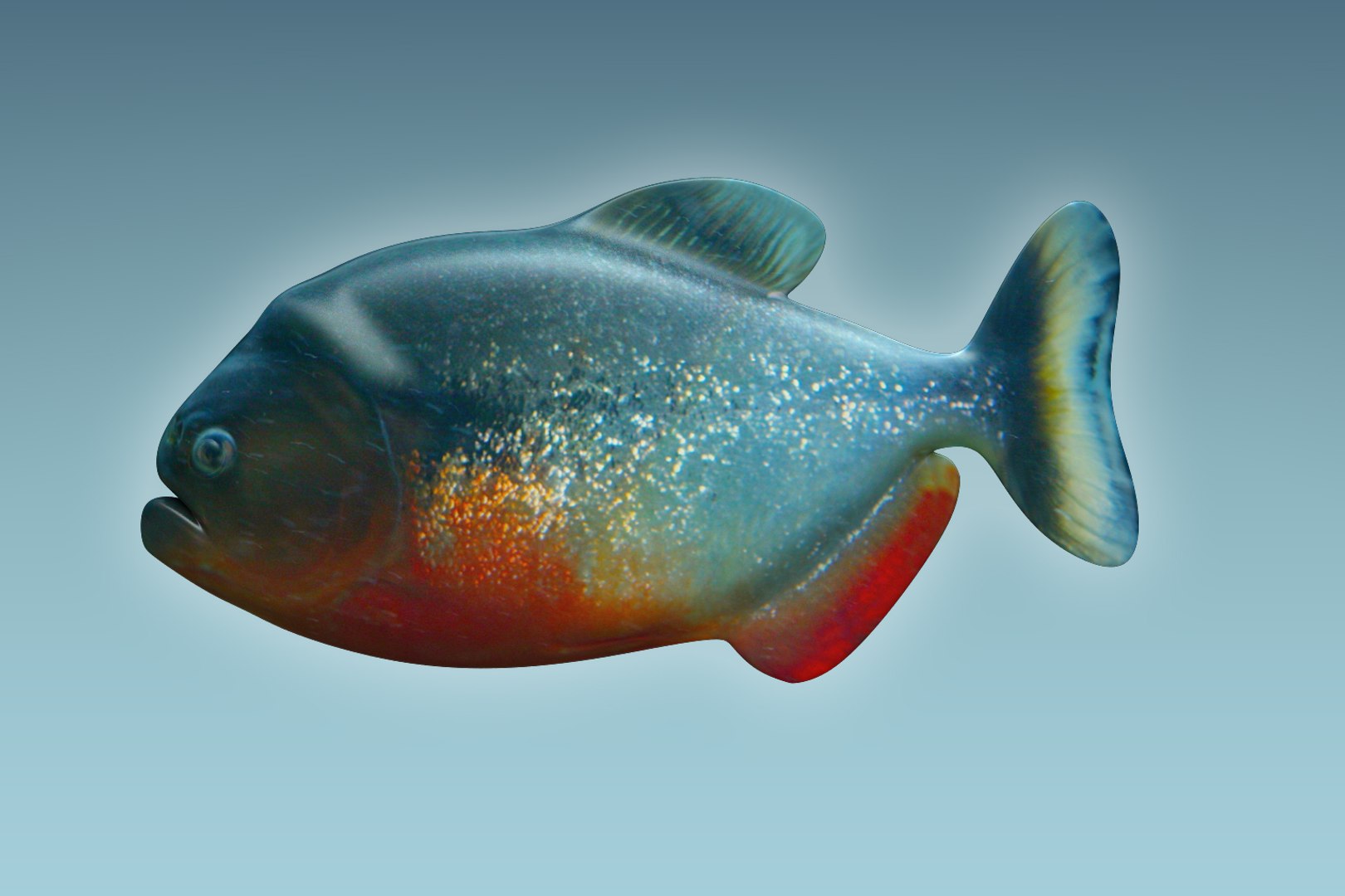 3D Model Piranha Fish - TurboSquid 1200856