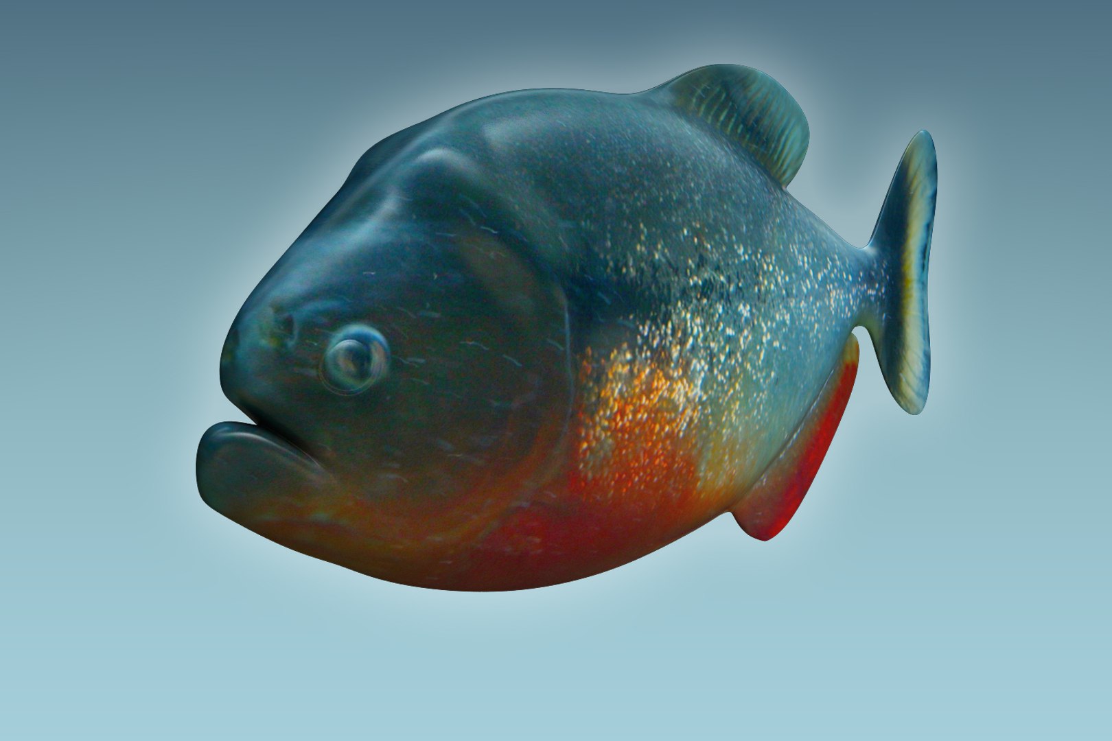 3D Model Piranha Fish - TurboSquid 1200856