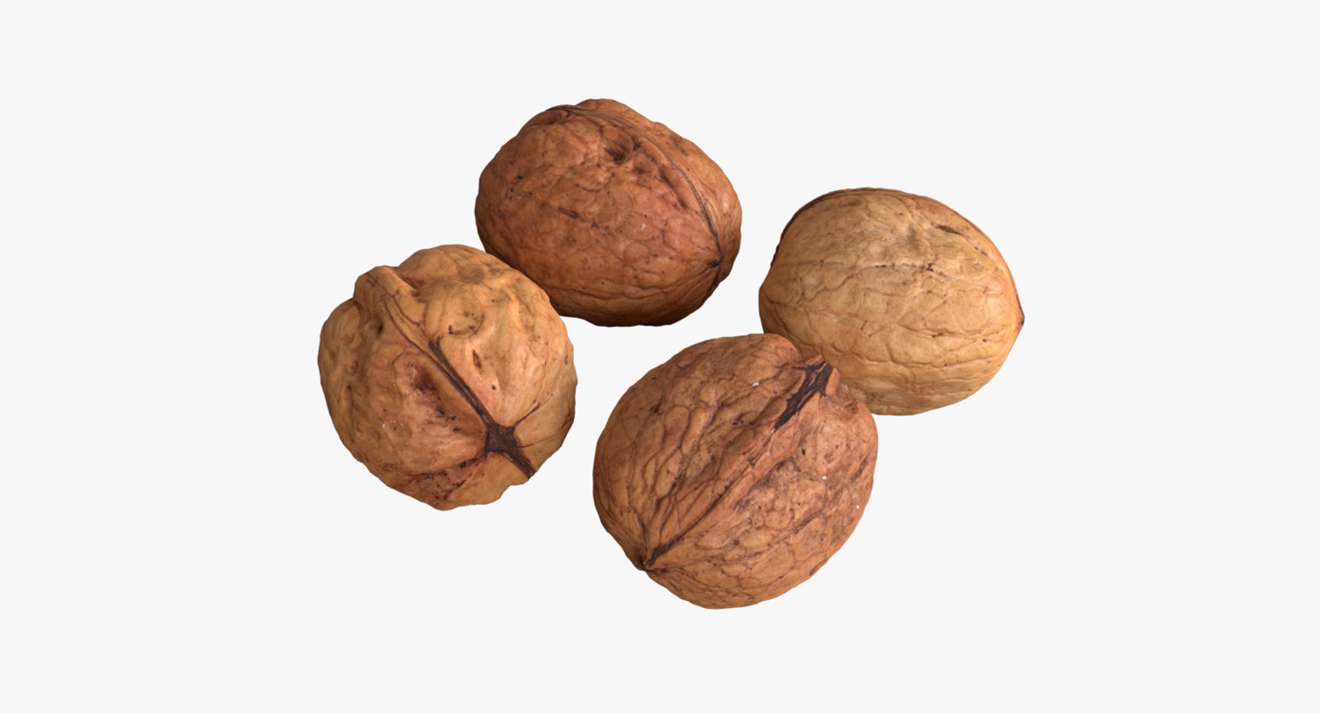 3D Photogrammetry Unshelled Walnuts Model - TurboSquid 1493194