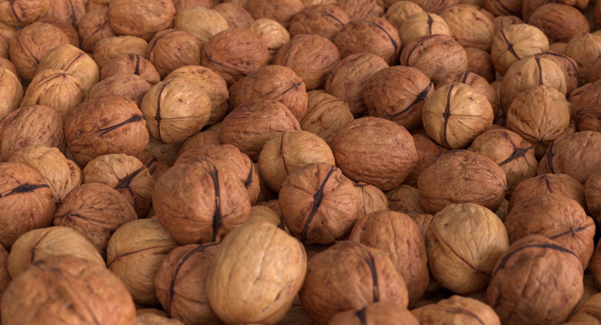 3D Photogrammetry Unshelled Walnuts Model - TurboSquid 1493194