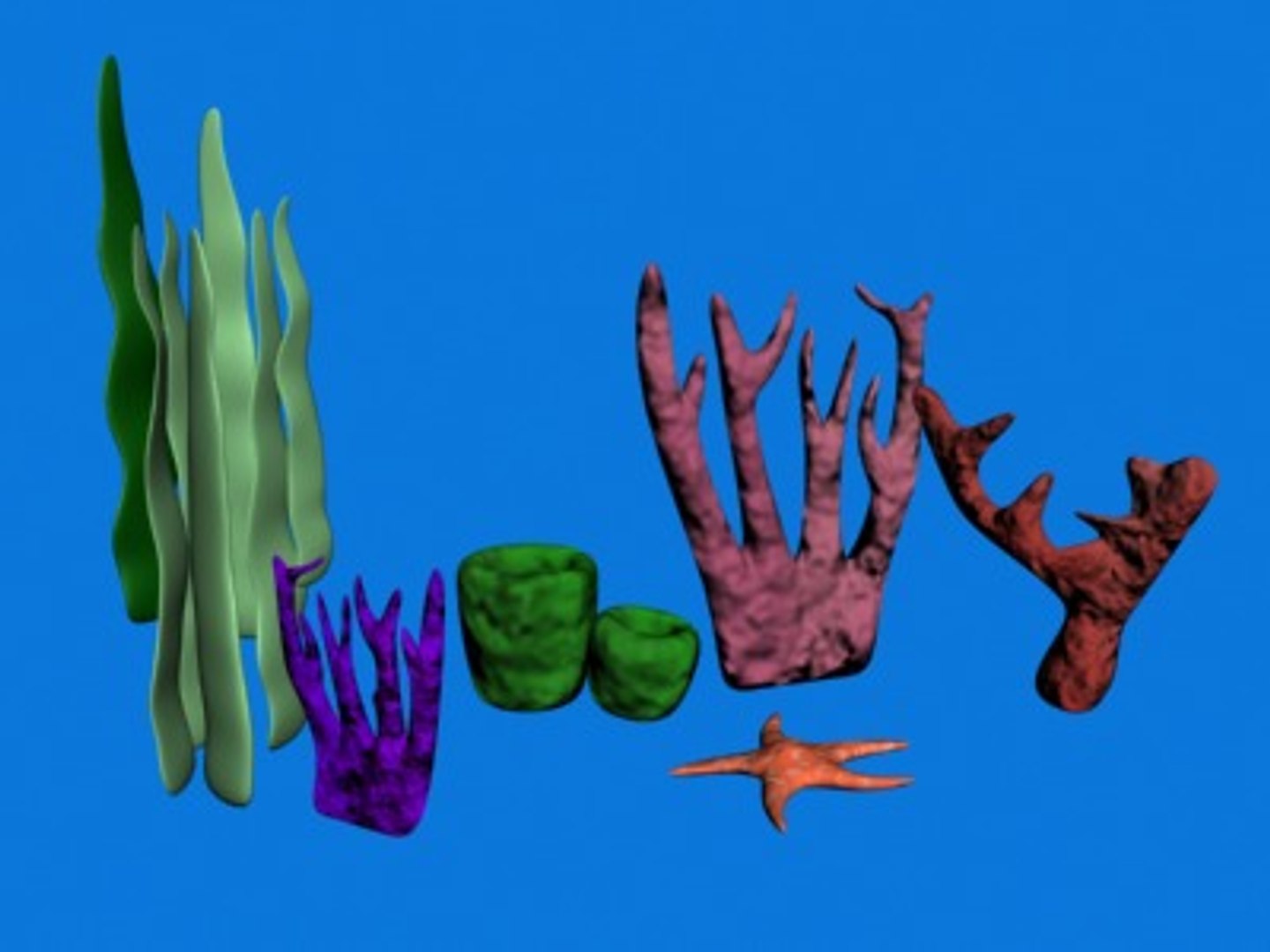 3d Underwater Props Sponges Starfish Model