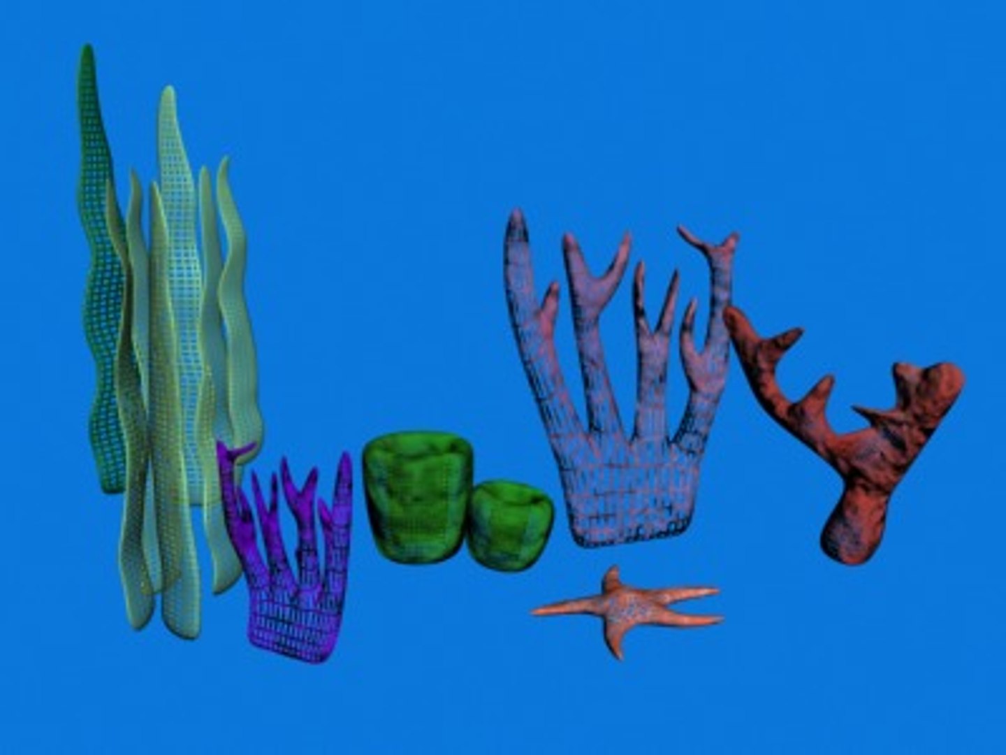 3d Underwater Props Sponges Starfish Model