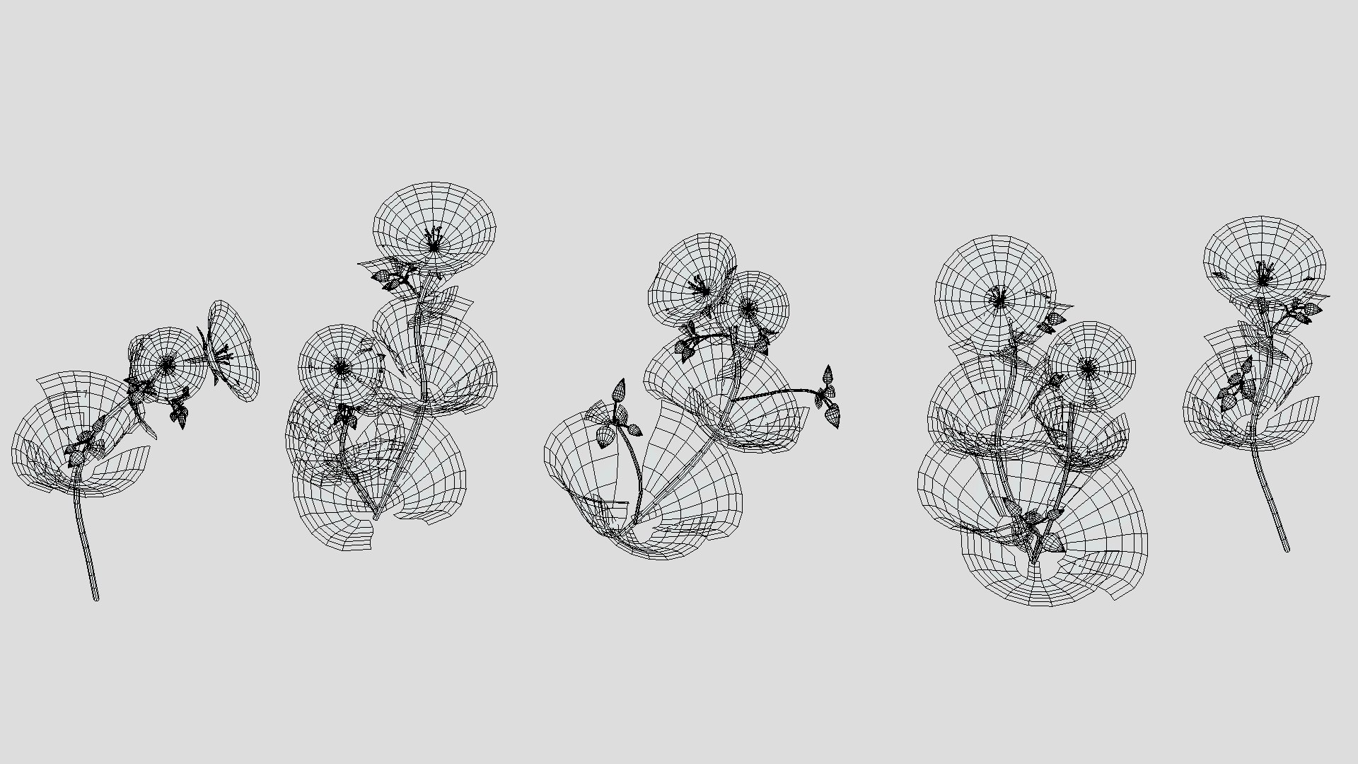 3D Meadow Cranesbill Flower Low Poly - TurboSquid 2366301