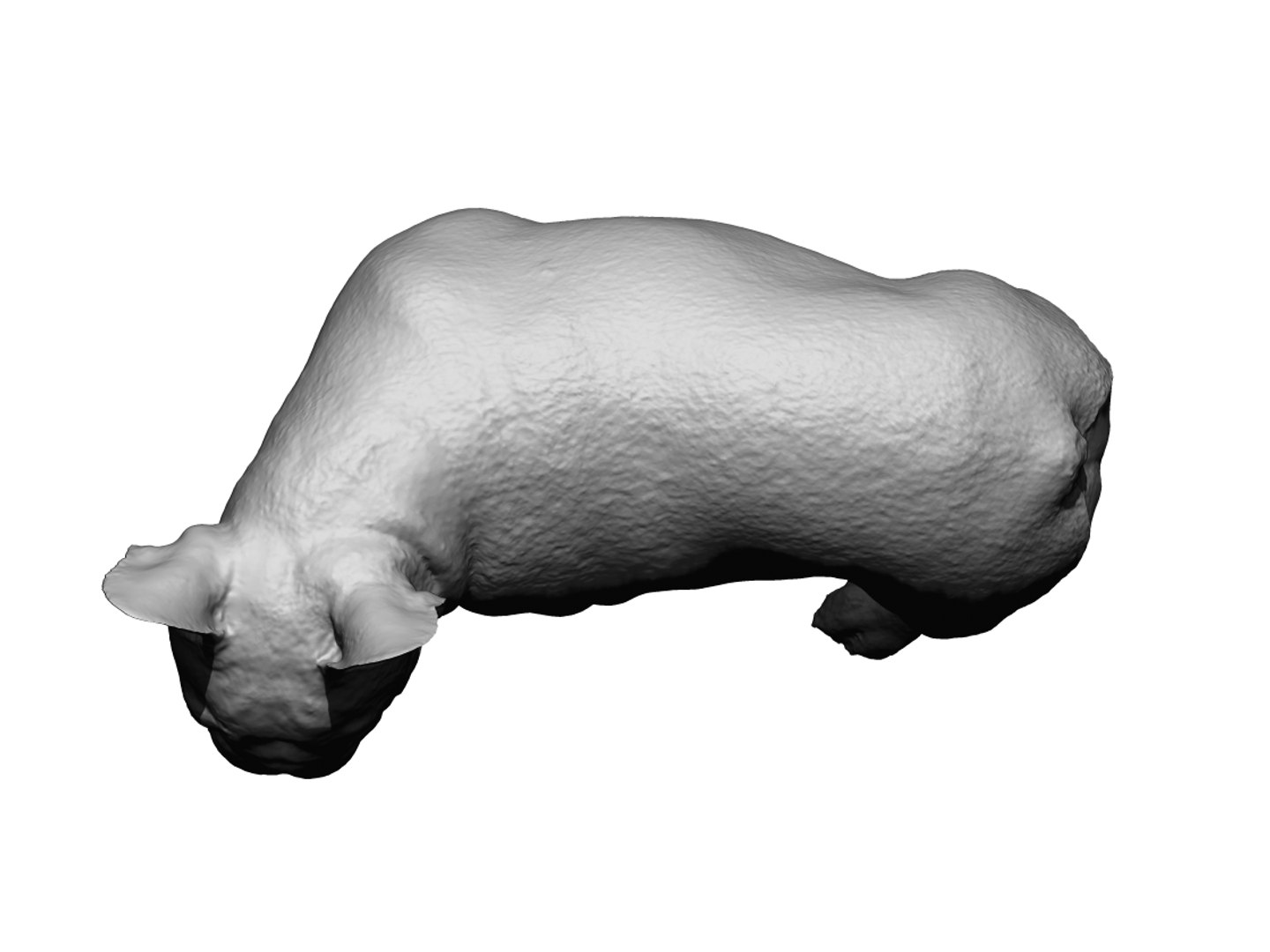 Dog Scanned Photogrammetry 3D Model - TurboSquid 1349141