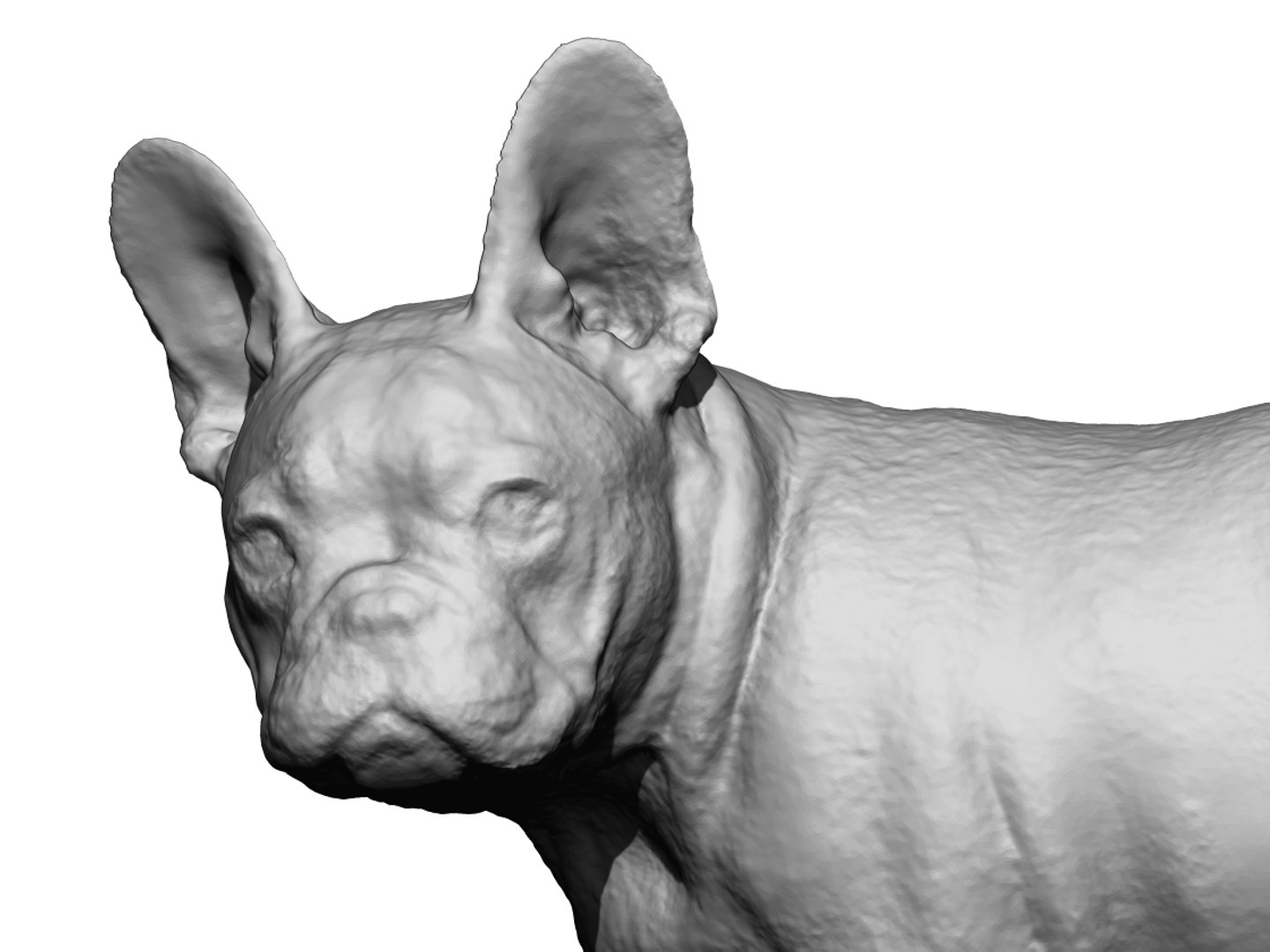 Dog Scanned Photogrammetry 3D Model - TurboSquid 1349141