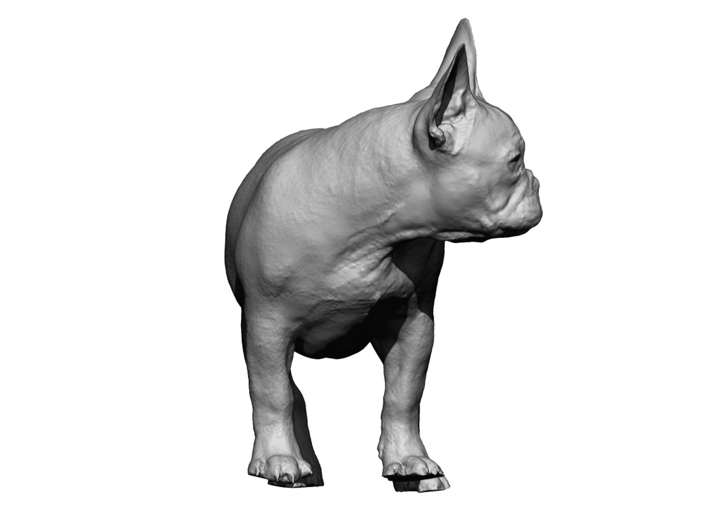 Dog Scanned Photogrammetry 3D Model - TurboSquid 1349141