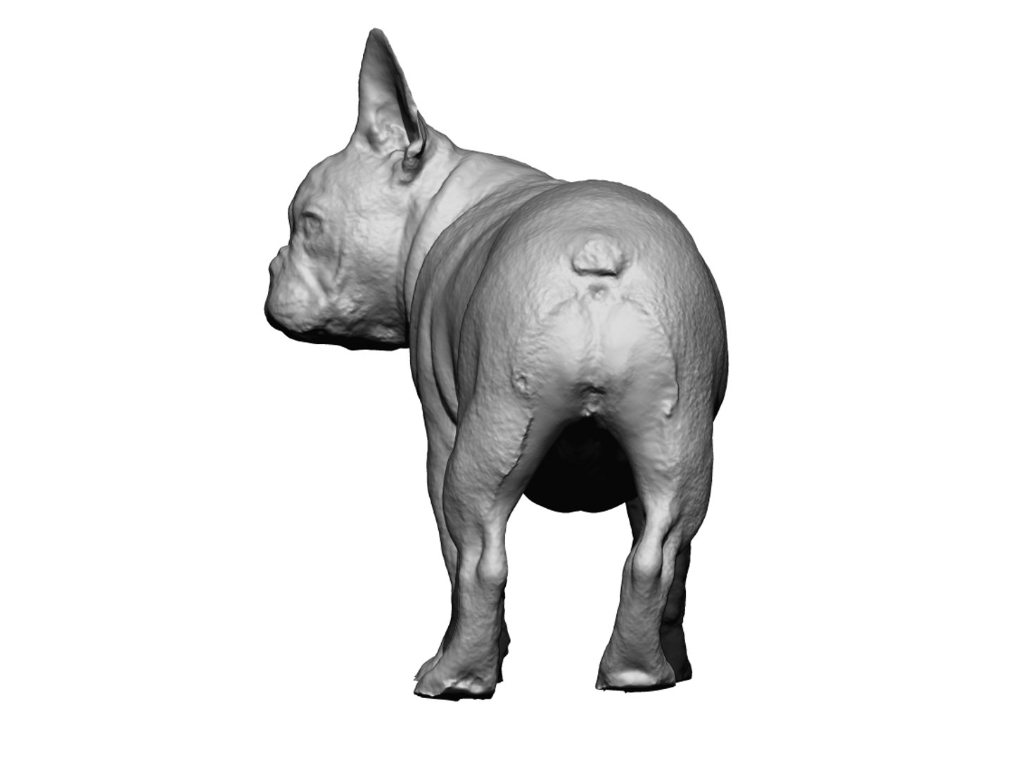 Dog Scanned Photogrammetry 3D Model - TurboSquid 1349141