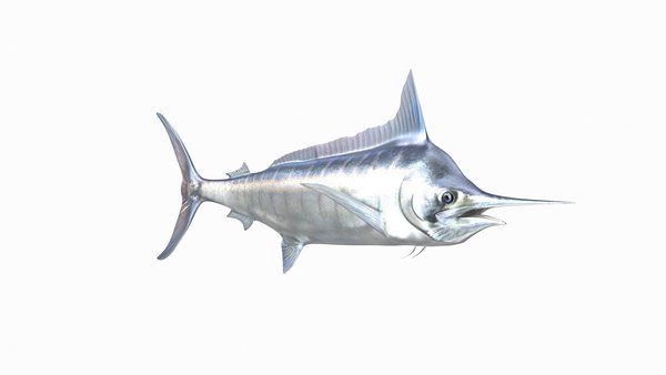 Gestreifter Marlin-Fisch 3D-Modell - TurboSquid 1992149