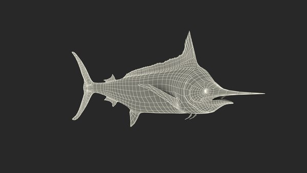 Striped Marlin Fish 3D model - TurboSquid 1992149