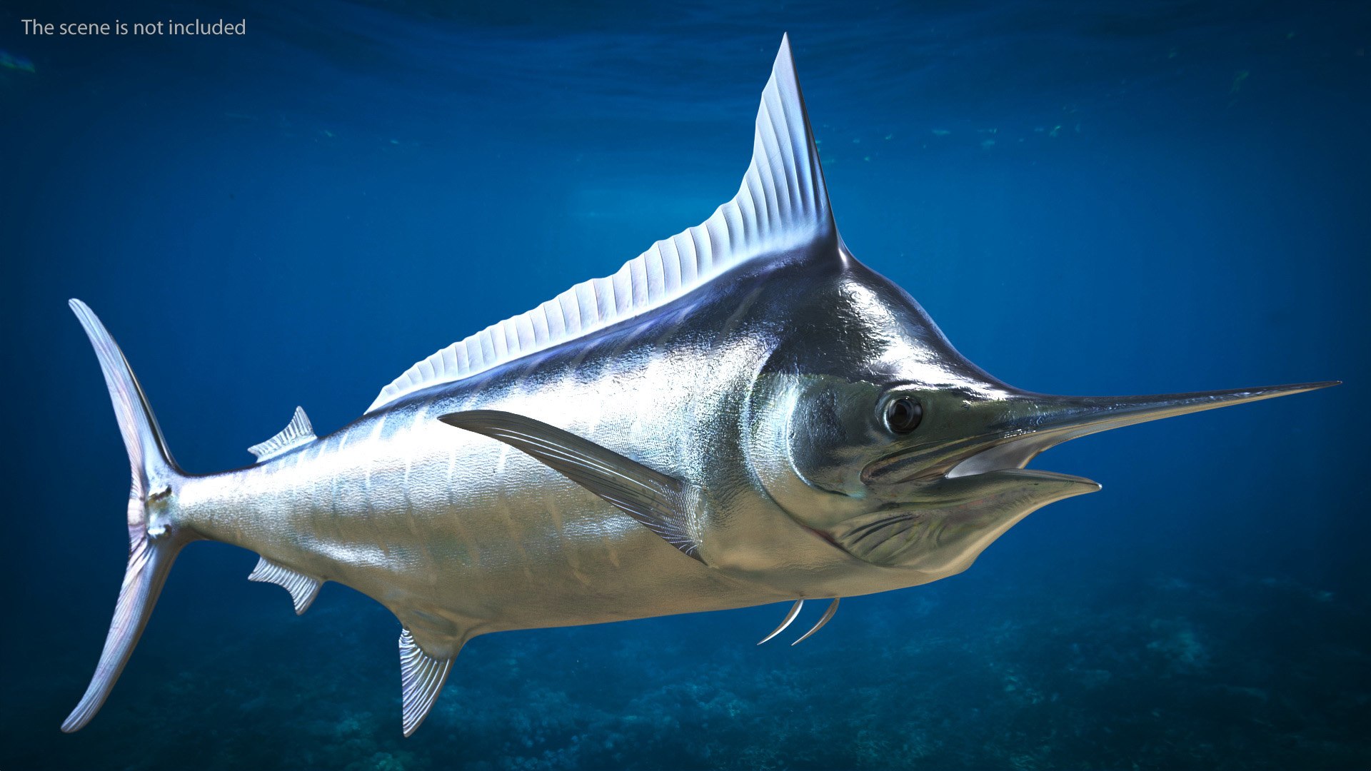 Striped Marlin Fish 3D Model - TurboSquid 1992149