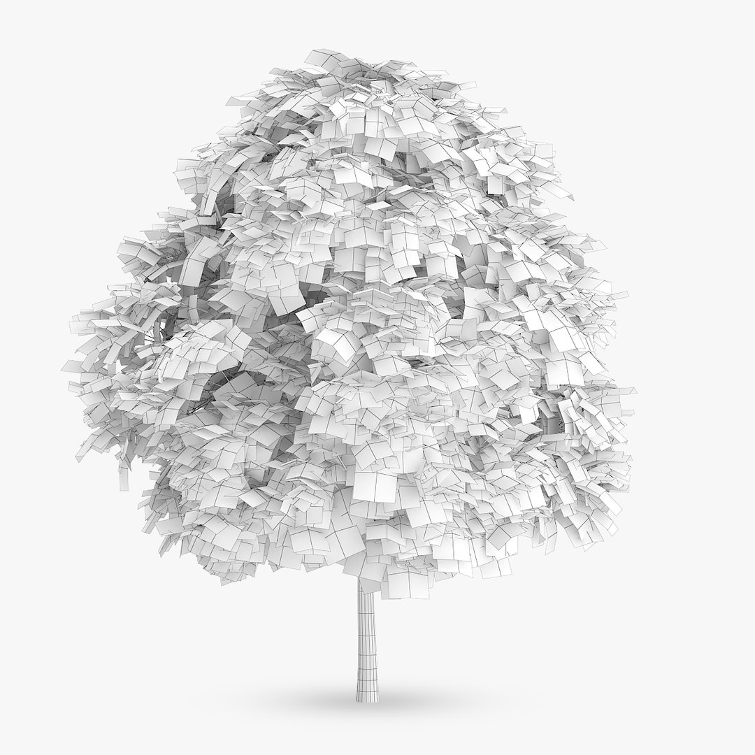 3d Common Whitebeam 5 5m Model