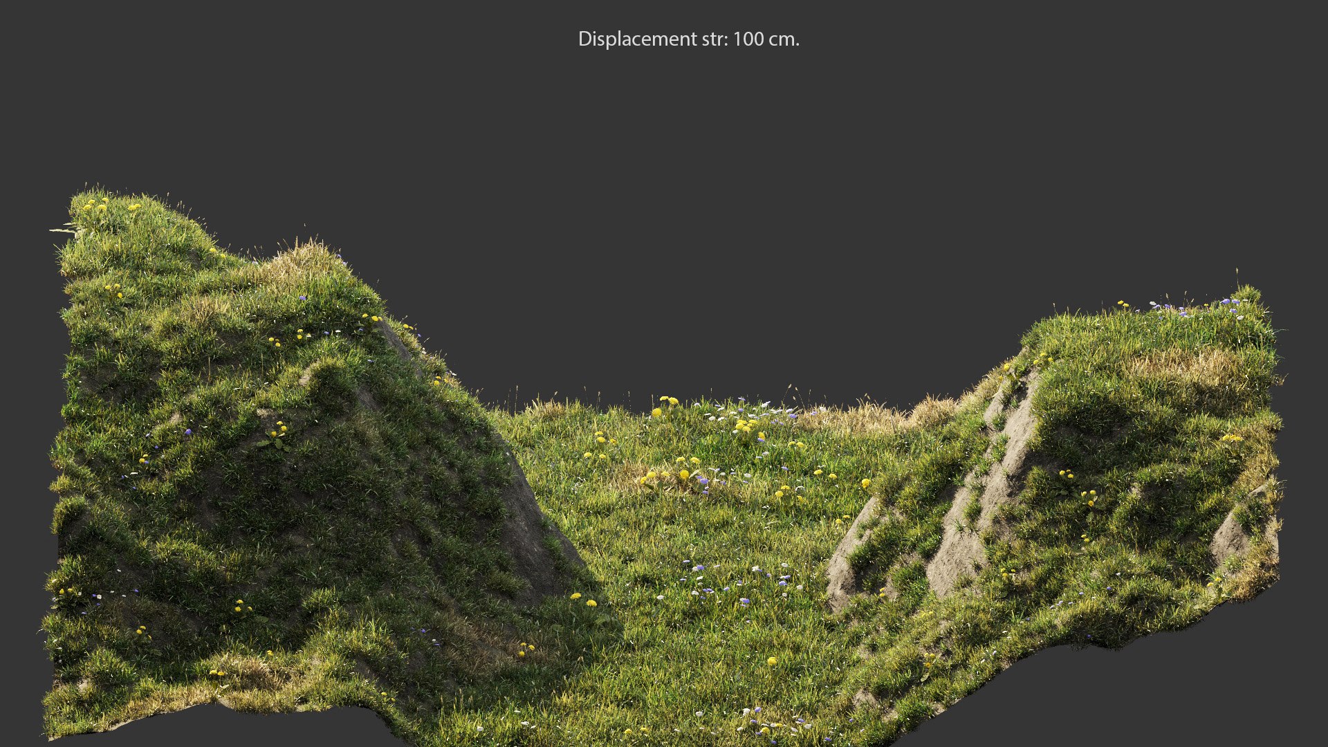 3D Grass For Mountainous Terrain - TurboSquid 2180814