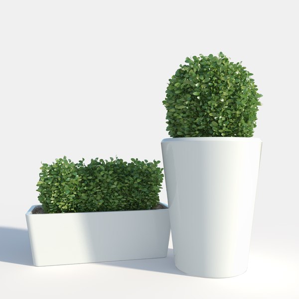 3d model modern bushes