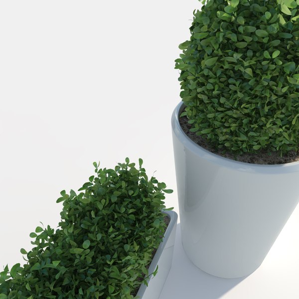 3d model modern bushes