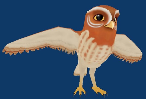 Free 3D Owl Models | TurboSquid