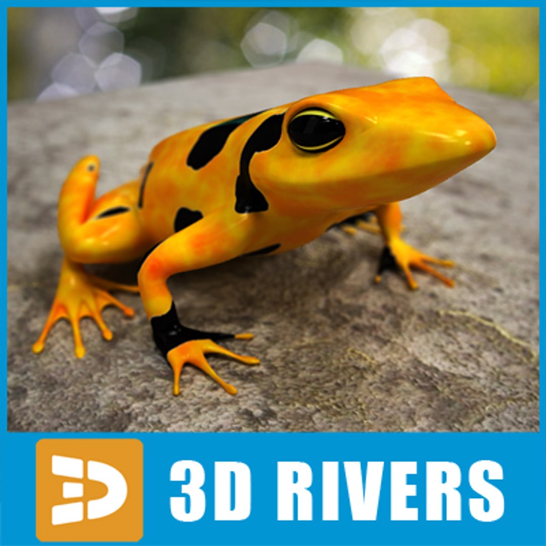 Atelopus Frog 3d Max