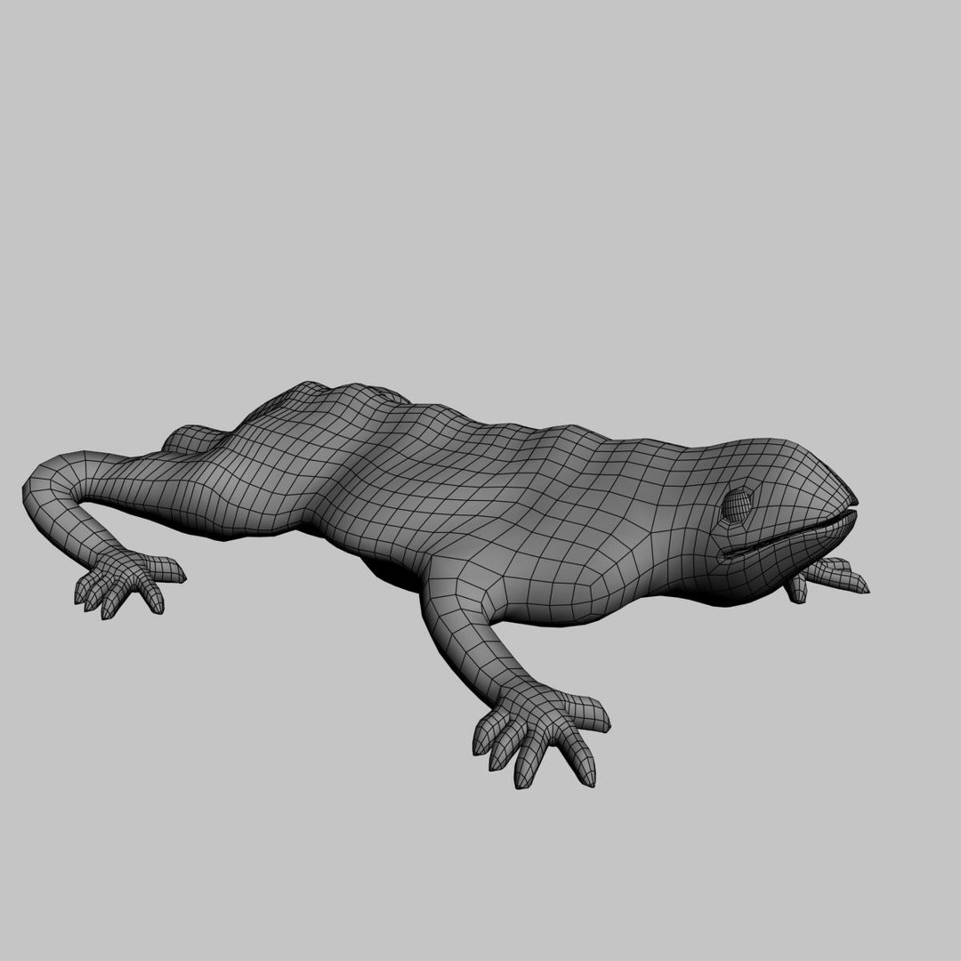 Max Dragon Rigged