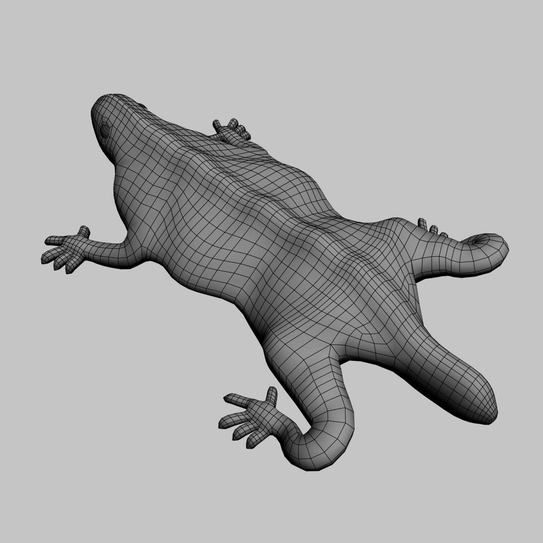 Max Dragon Rigged